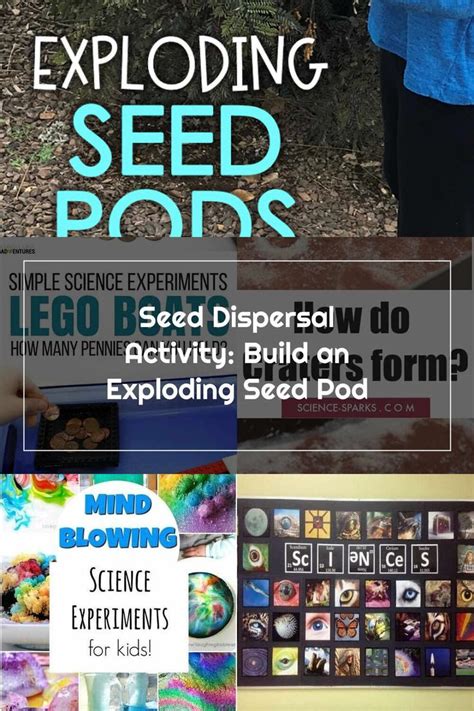 Science Seed Dispersal Activity Build An Exploding Seed Pod