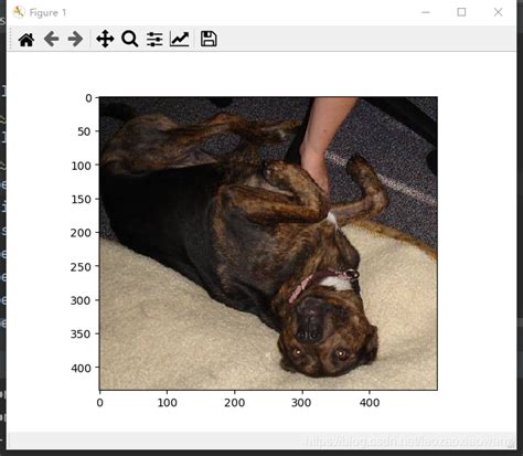 【学习笔记】用vgg16实现猫狗分类 阿里云开发者社区