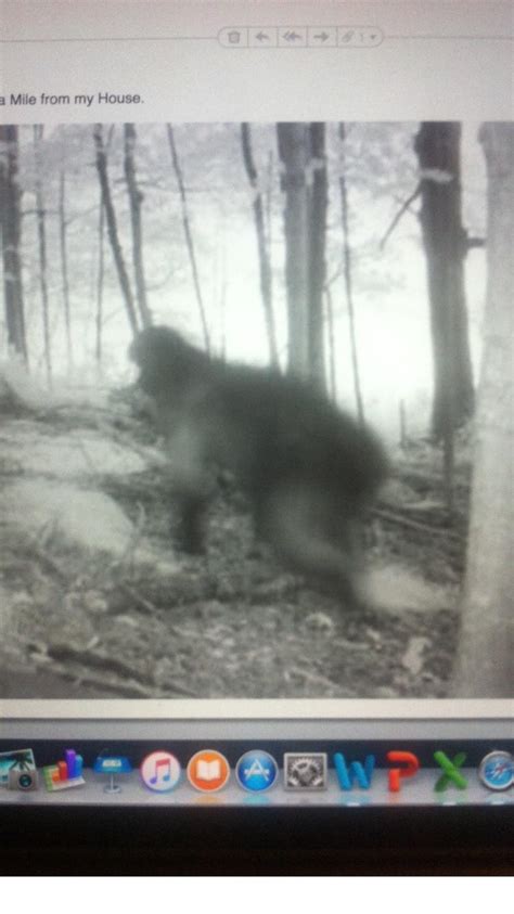 GFs Dads Friend Caught This On Camera In West Virginia What Is It R Natureismetal