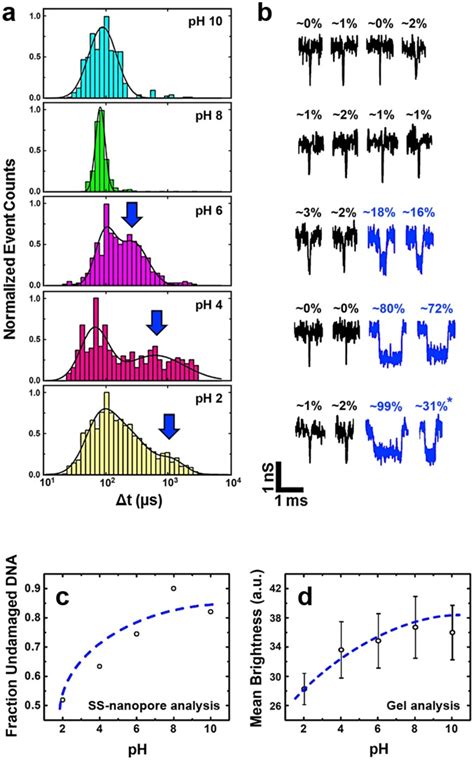 A Event Duration Histograms For 61 Bp Dna Translocation Events From