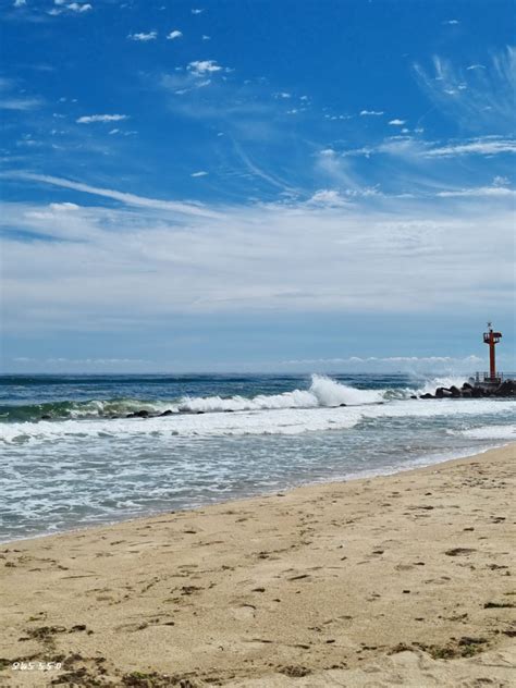 일상 강릉 혼자 당일치기 여행 Ktx 뚜벅이 강문해변🌊 네이버 블로그