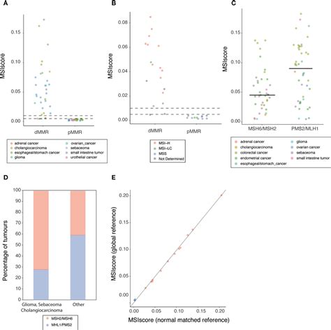 Frontiers Improved Ngs Based Detection Of Microsatellite Instability