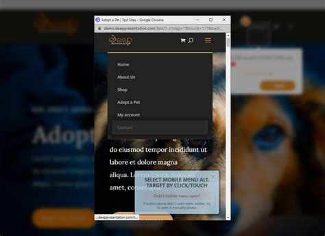 Intro Tour Tutorial Plugin For WordPress Deep Presentation