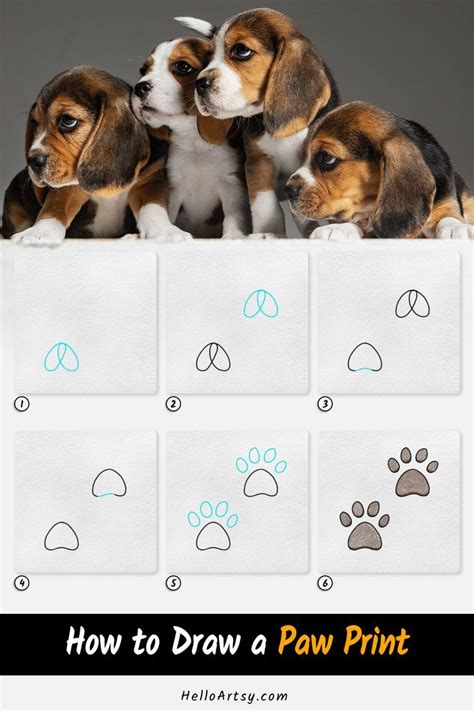How To Draw A Paw Print Artofit