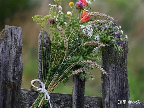 不要有改变别人的念头 知乎