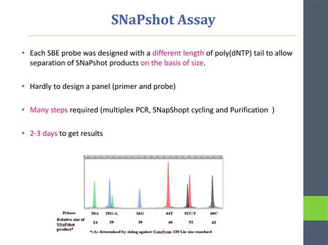 Snps Analysis Methods Pptx