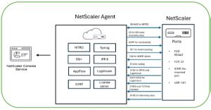 How To Install And Apply NetScaler Flex Licensing
