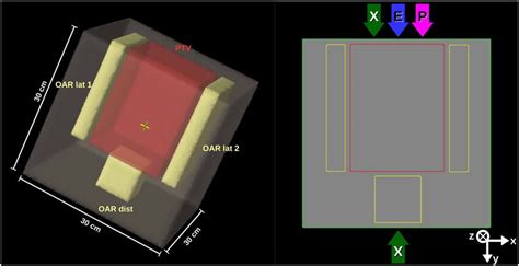 Left 3d View Of The Academic Case With Ptv Red And Oars Yellow