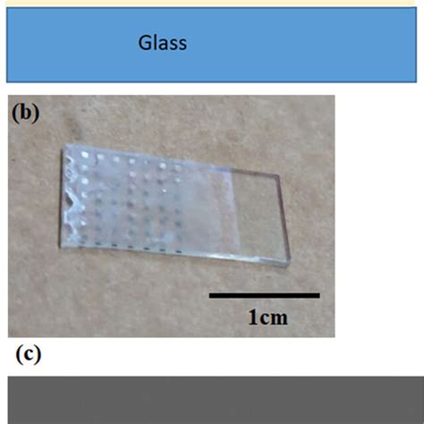 A The Schematic Of Zno Photodetector Structure B Real Photo Of Download Scientific Diagram