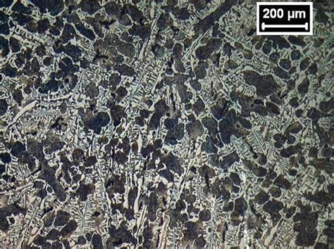 A Unetched Microstructure Of Shell And The Defect Portion 5 B Shows Download Scientific