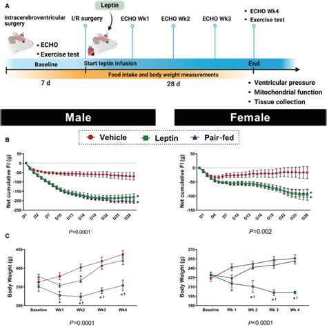 Central Nervous System Actions Of Leptin Improve Cardiac Function After