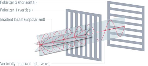 The Polarization Microscopy Principle Learn And Share Leica Microsystems