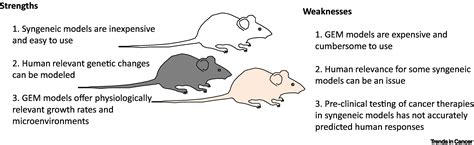 Mouse Models For Immuno Oncology Trends In Cancer