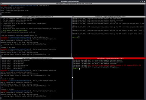 Echo Client Sample Return Cannot Connect To Tcp Remote Ipv Issue