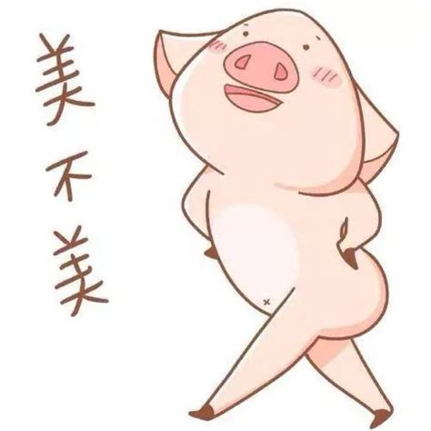豬價止跌，上漲從今天開始？高興之餘注意養殖成本！ 每日頭條