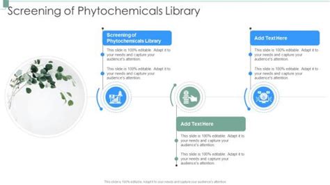 Library Screening Powerpoint Presentation And Slides Ppt Example Slideteam