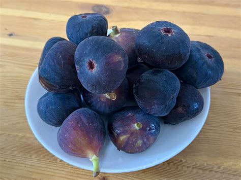 Фига без масла Полезнейший и любимый фрукт Александр Деревяшкин