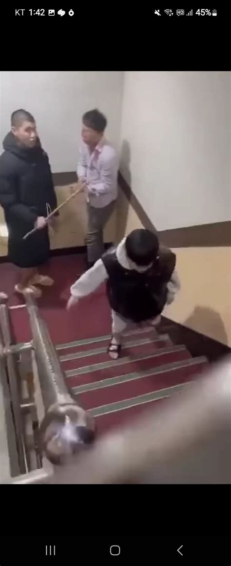 모텔에서 40대 폭행하는 급식들 포텐 터짐 최신순 에펨코리아