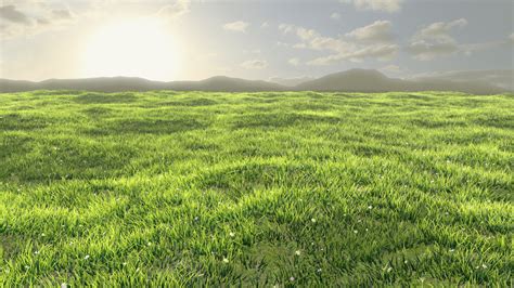 Field Of Grass Wallpapers Top Free Field Of Grass Backgrounds