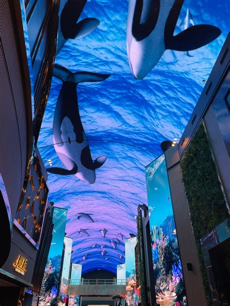 영종도 데이트 인스파이어 엔터테인먼트 리조트 호텔 구경 후기 주차 카페 식당 오로라 위치 시간 네이버 블로그