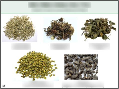 Exam B Wu Wei Xiao Du Yin Diagram Quizlet