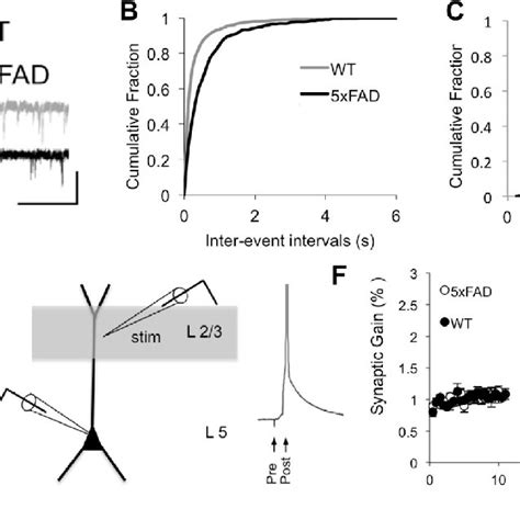 Action Potential Firing Threshold Was Increased In Layer 5 But Not