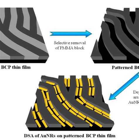 Schematic On The Directed Self Assembly Dsa Of Aunrs In Patterned Download Scientific Diagram