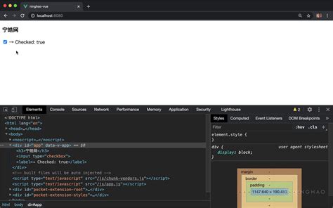 复选框（checkbox）《 Vuejs 前端应用 3：表单元素 》 宁皓网