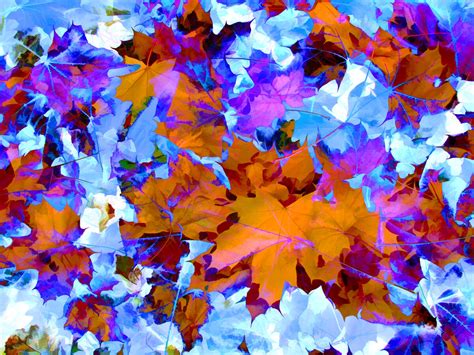 Бесплатная картинка абстракция текстура · бесплатная фотография от