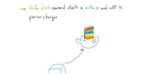 Understanding Docker Part Run A Container Dev Community