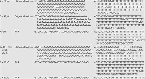 Segmented Polya Sequences And Their Corresponding Cloning Strategy Download Scientific