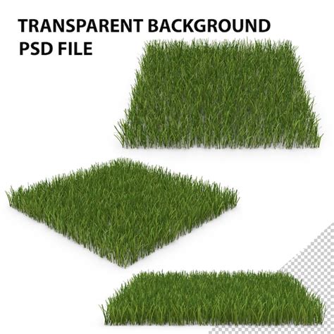 Premium Psd Lawn Grass Png