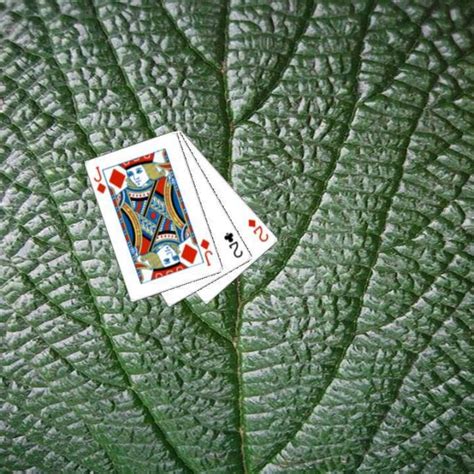 Playing Cards Object Detection Dataset V4 Yolov8n By Augmented Startups