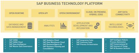 SAP BTP And RISE With SAP Get Started On Your Digital 59 OFF