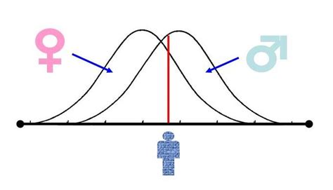 Bluestocking Blue What Sex Is Your Brain