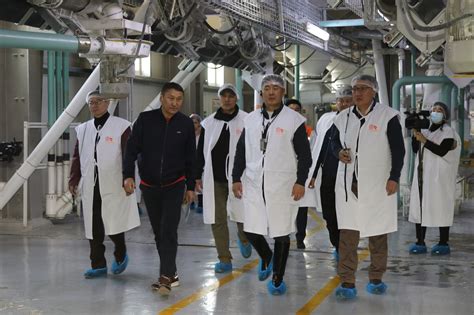 Монгол улсын ерөнхийлөгч У Хүрэлсүх улаанбаатар гурил компаний 100 хувь автомат эко үйлдвэрийн