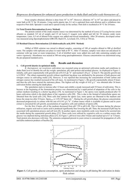 Bioprocess Development For Enhanced Spore Production In Shake Flask And