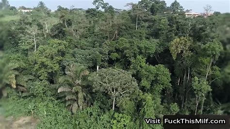 Sensual Sex In The African Jungle Eporner