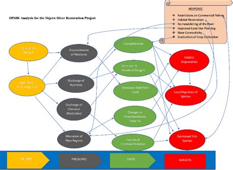 Solved Explain The Dpsir Attached