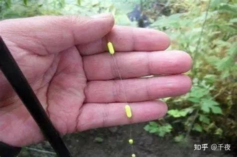 盛夏水库野钓白条，最快速的几种方法，一个鱼护不够装 知乎
