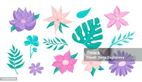 벡터 꽃과 식물의 컬렉션 엽서 초대장 디자인을위한 장식용 꽃 디자인 요소 세트 열대 식물 꽃에 대한 스톡 벡터 아트 및 기타 이미지 열대 식물 꽃 흰색 배경 0명