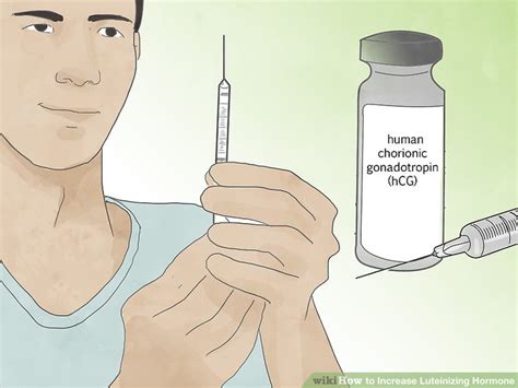 How To Increase Luteinizing Hormone 12 Steps With Pictures