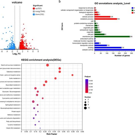 Rna‑seq Analysis Of The Trichoderma Reesei Rut C30 Strain Treated With Download Scientific