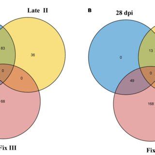 A DN DS Ratios For Mature Part Of NCR Peptides B DN DS Ratios For Download Scientific