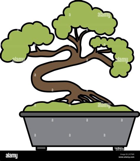 Bonsai Japanese Tree Stock Vector Image Art Alamy