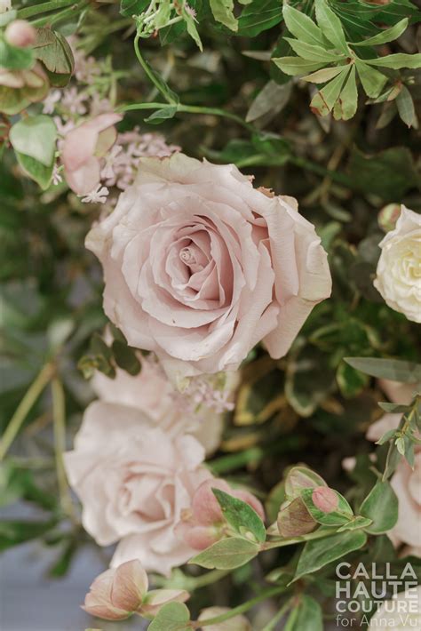 Anna Vu Calla Bridal