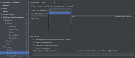 Maven Intellij Shows Project Language Level As 12 Maximum Despite