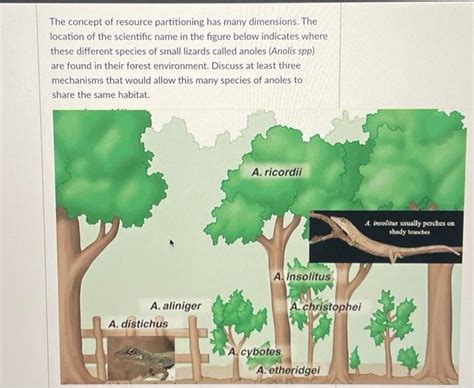 Solved The Concept Of Resource Partitioning Has Many