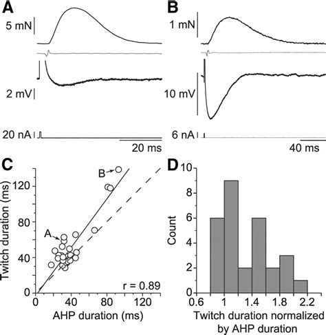 Adult Mouse Motor Units Develop Almost All Of Their Force In The Subprimary Range A New All Or