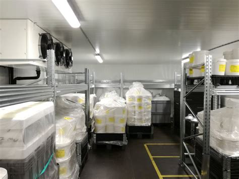 Temperature Mapping — Am Group